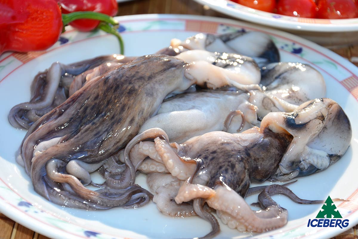 Le nostre migliori ricette nostrane per gustare i buonissimi moscardini