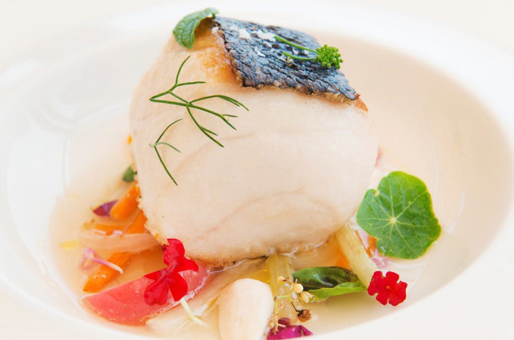 La ricciola è un pesce stupendo con delle qualità meravigliose